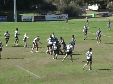 QLD Rugby TV | Queensland Rugby